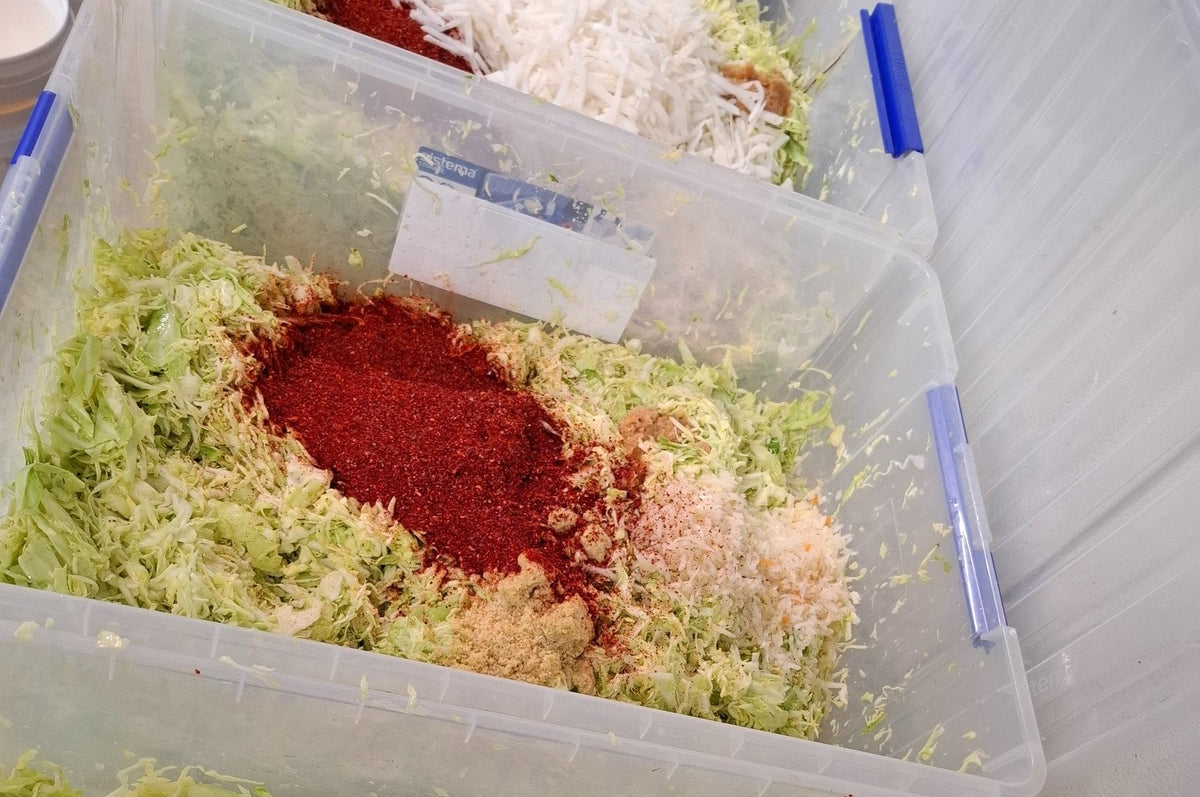 GoodBugs NZ Step-by-Step Guide to Making Kimchi